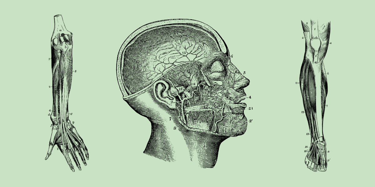 Writing Prompts: 60 Ideas You Can Use Today - Freewrite Store